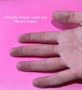 Fingertip shapes and what they mean in palmistry – Sister Palm ...