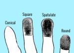 Fingertip shapes and what they mean in palmistry – Sister Palm ...