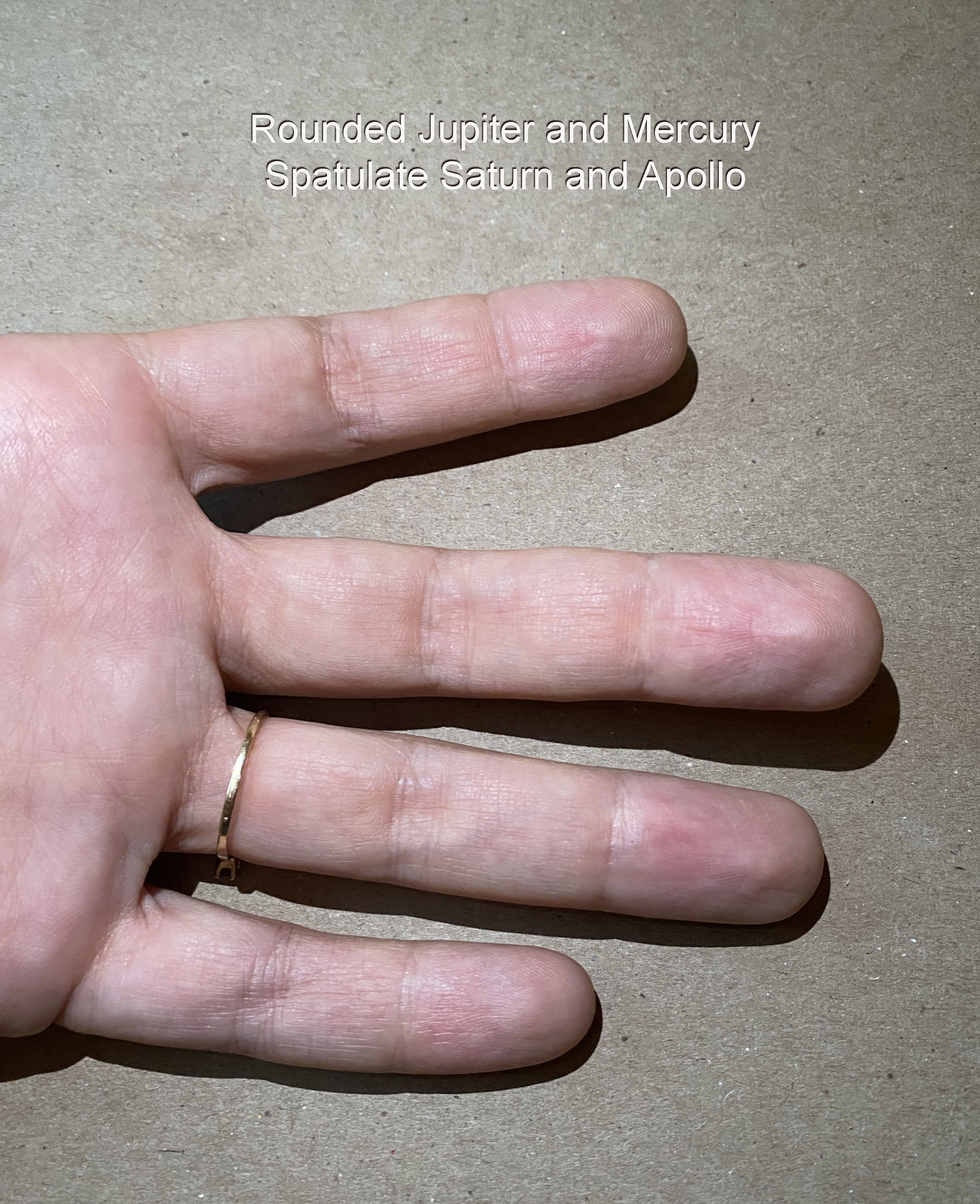 Fingertip shapes and what they mean in palmistry – Sister Palm ...