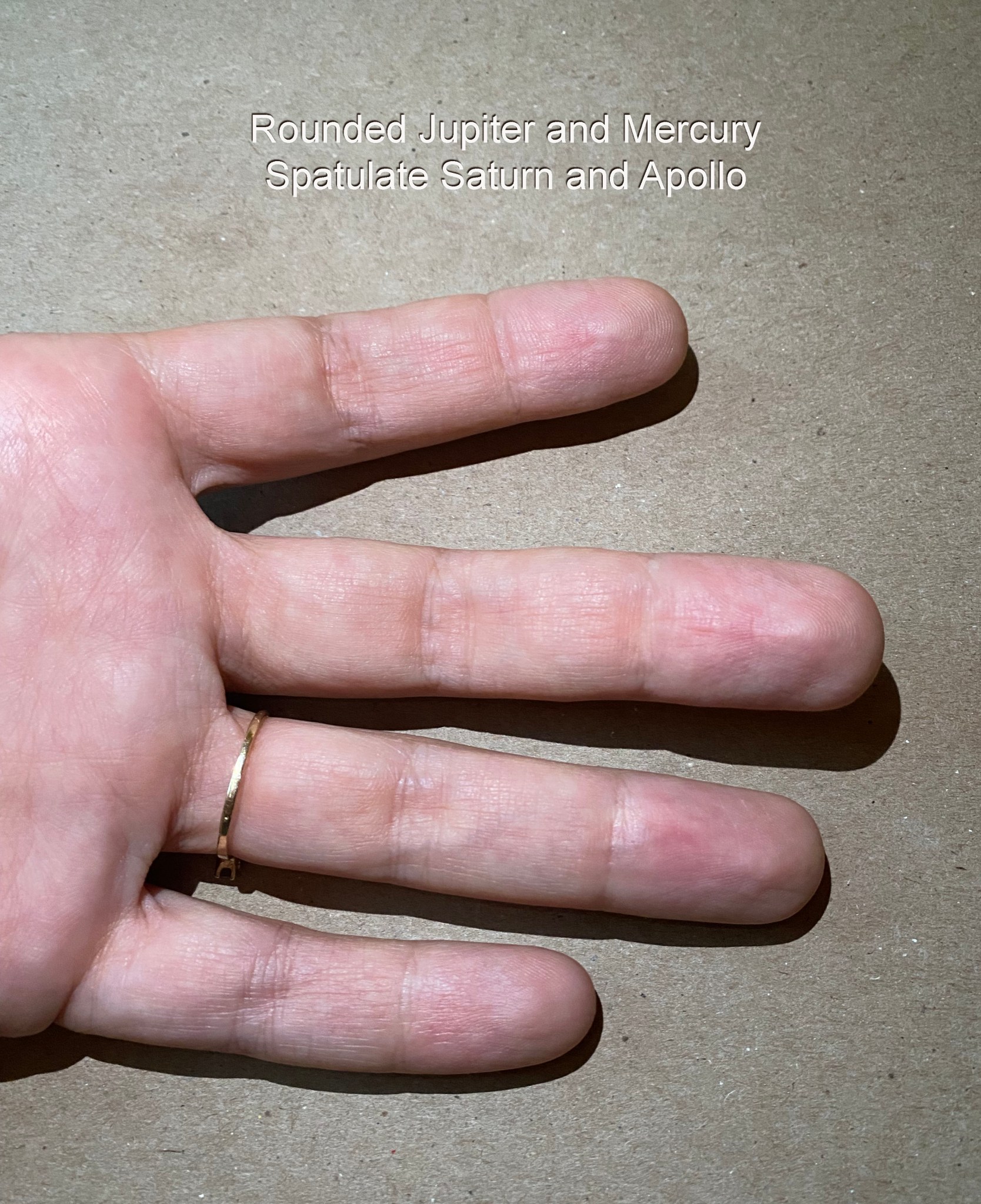 Fingertip shapes and what they mean in palmistry – Sister Palm ...