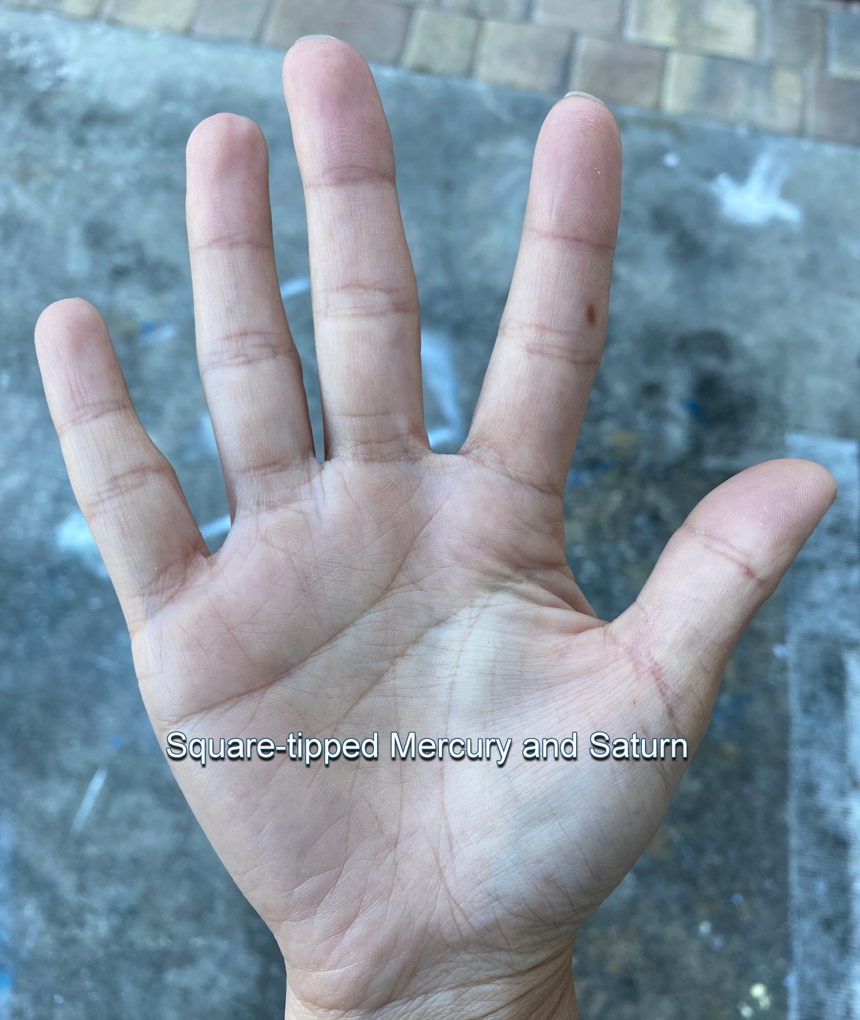 Fingertip shapes and what they mean in palmistry – Sister Palm ...