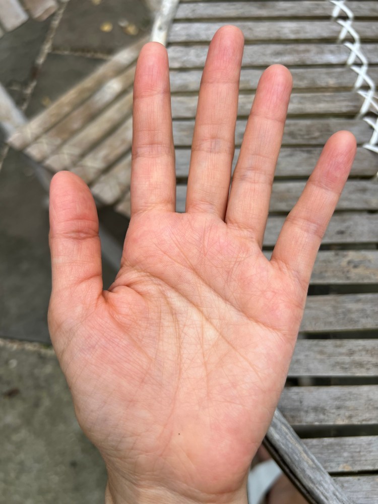 Elemental Hand Types – Sister Palm | Palmistry + Astrology + Psychic